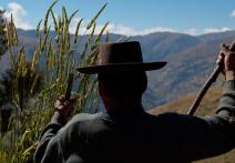 Filmy zdarma | dafilms.sk