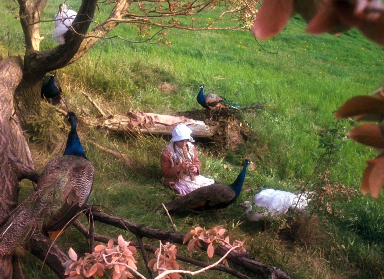 Perinbaba - dafilms.sk | filmy online