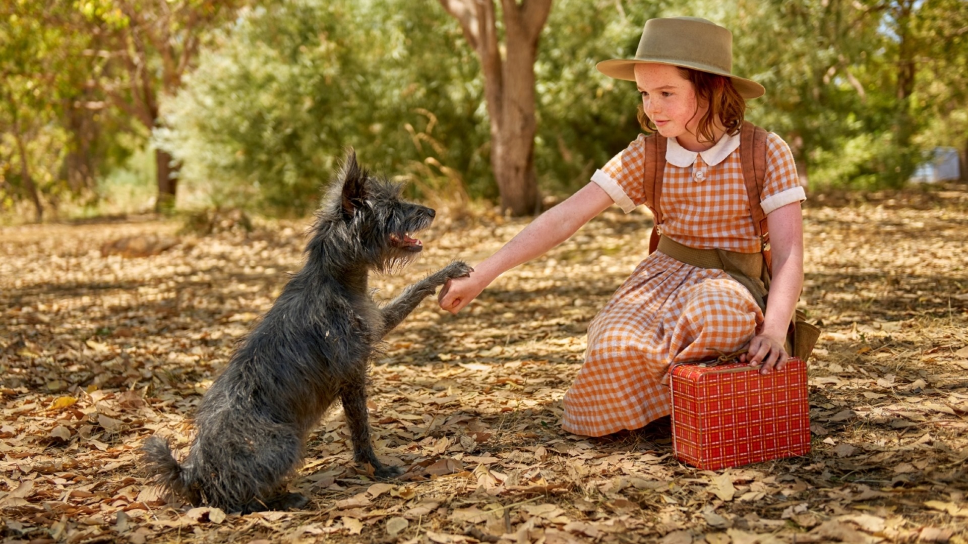 Malý veľký pes - dafilms.sk | filmy online