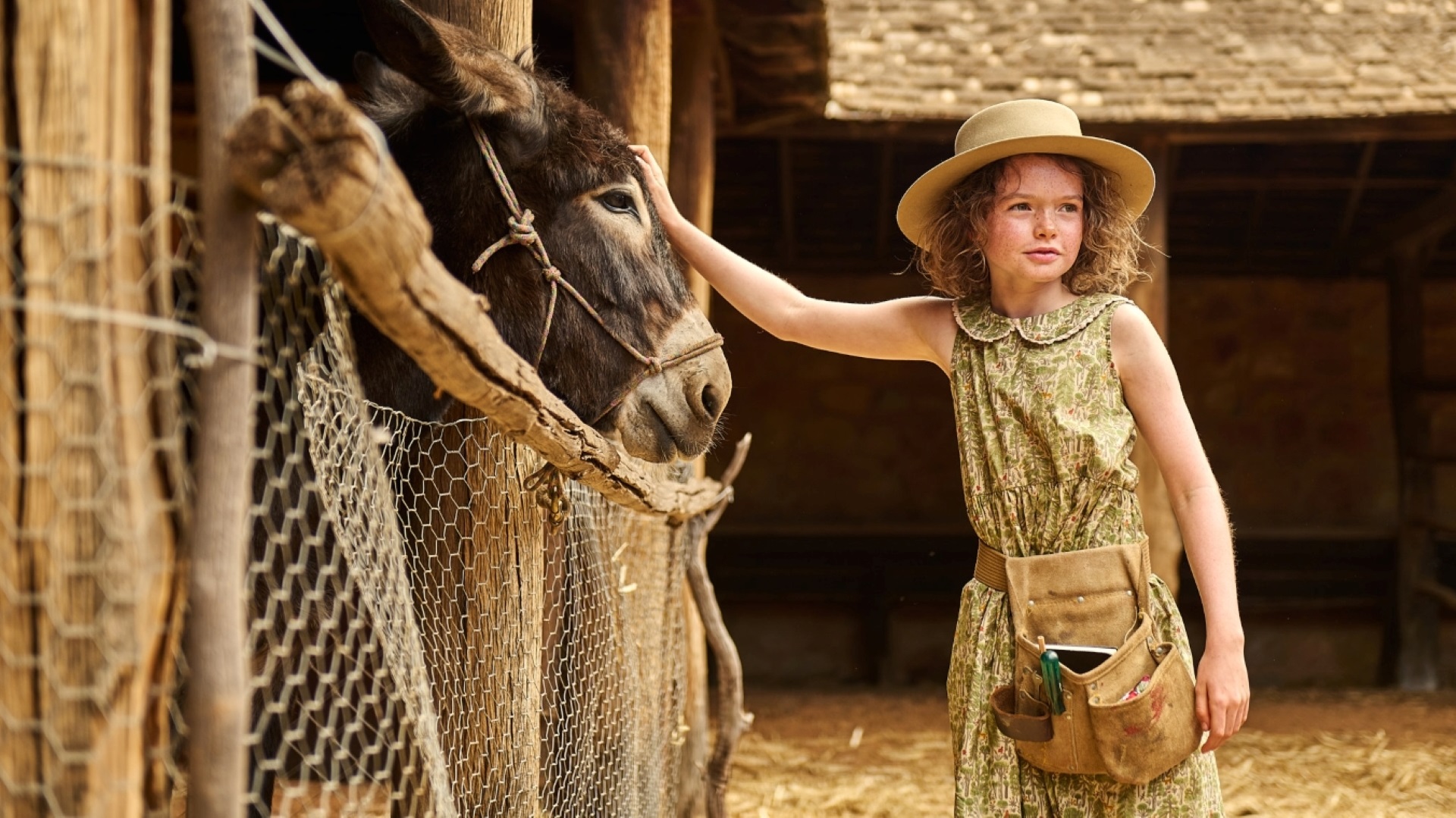 Malý veľký pes - dafilms.sk | filmy online